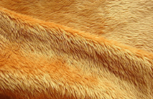 Harga Kain Rasfur Per Meter dan Per Roll di Bandung